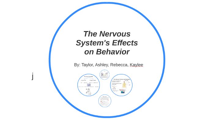 The Nervous System's Effects on Behavior by Taylor Goodman-Leong on Prezi