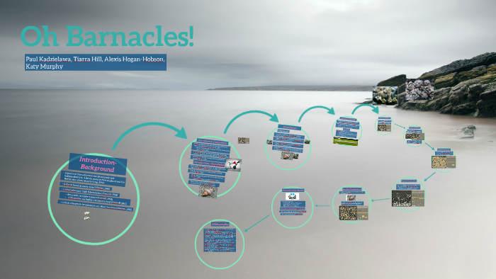 Oh Barnacles! by Paul Kadzielawa on Prezi