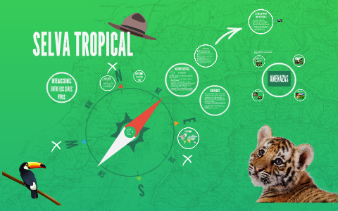 SELVA TROPICAL by Elena