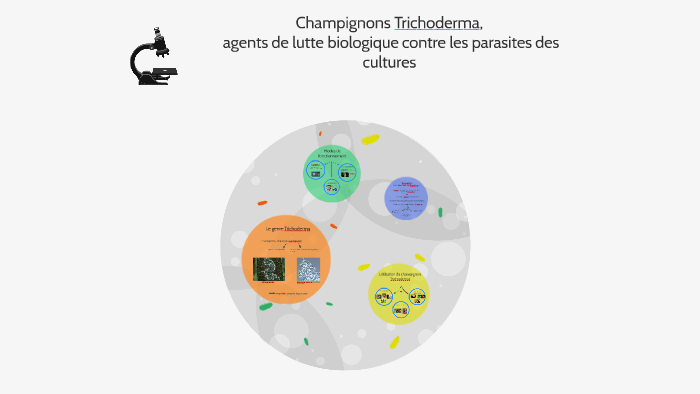 Champignons trichoderma: agents de lutte biologique contre l by ...