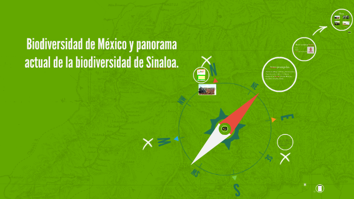 Biodiversidad de México y panorama actual de la biodiversida by Sayda ...