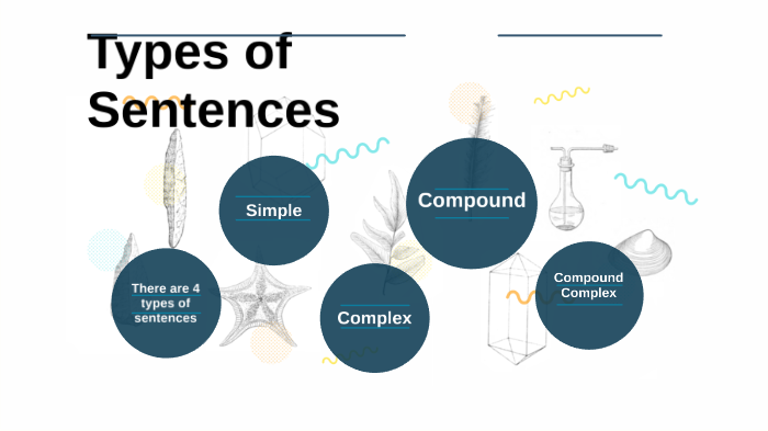 Types of Sentences by Barb Fedele on Prezi