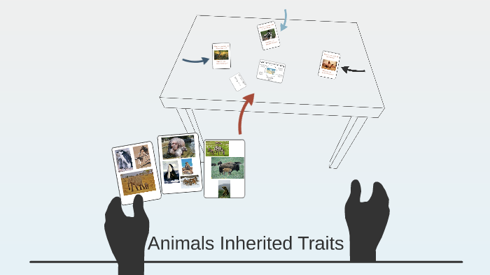 Animal Inherited Traits Web by Chelsea Crenshaw on Prezi