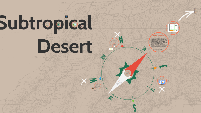 Subtropical Desert by Demitri Jackson on Prezi