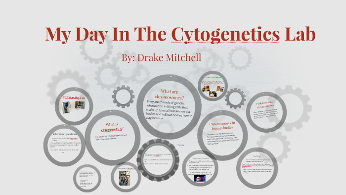 My day in the cytogenetics lab by Drake Mitchell on Prezi