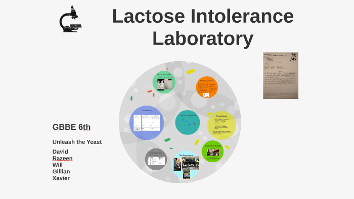 Lactose Intolerance Laboratory by Gillian Labastida on Prezi