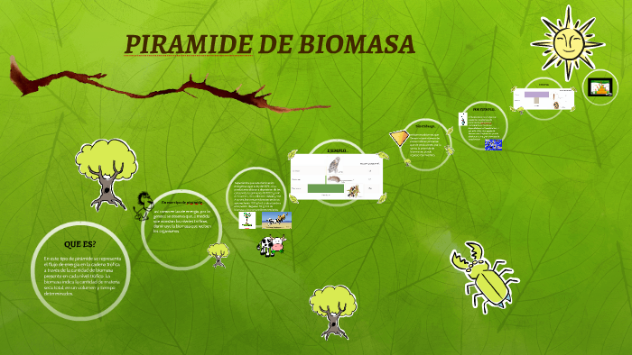 Qu Es La Biomasa Aplicasol