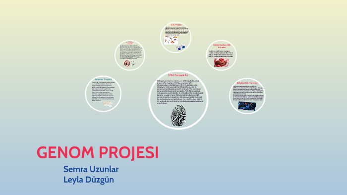 10 -A Genom Projesi by Elif Korkmaz on Prezi