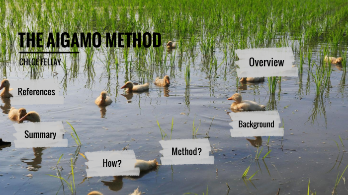 Aigamo Method by Chloé Fellay on Prezi