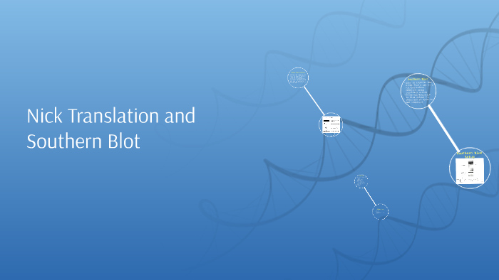 Nick Translation and Southern Blot by Stephanie Landry on Prezi