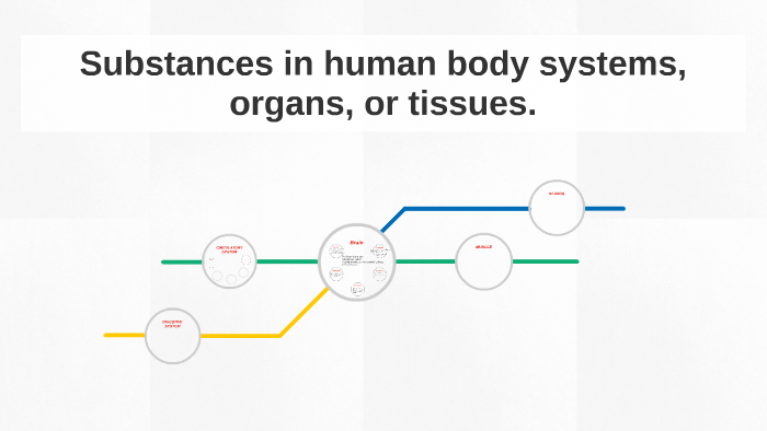 Substances in human body systems by enri galvan