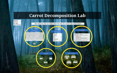 Carrot Decomposition Lab by Kira Eng on Prezi