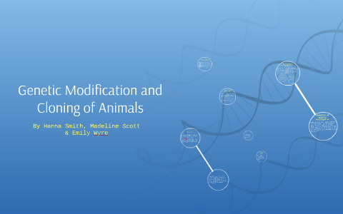 Genetic Modification and Cloning of Animals by Beedleen Styles