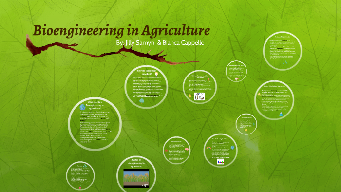 Bioengineering in Agriculture by Bianca Cappello on Prezi