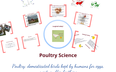 Poultry Science by Amanda Martin on Prezi