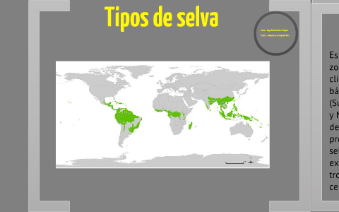 Tipos de selva by Angel Eduardo Perez Vasquez on Prezi