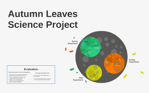 Autumn Leaves Science Project by stephan broadus