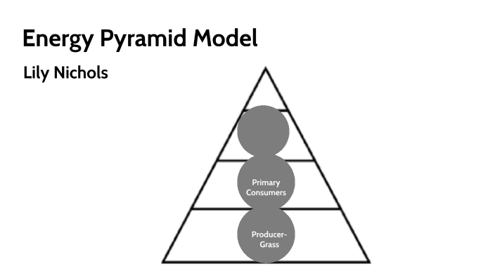 Energy Pyramid Model by Lily Nichols on Prezi