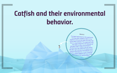 Catfish and their environmental behavior. by Hannah Cobb on Prezi