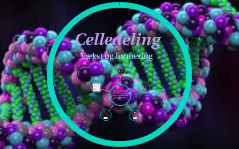 Celledeling by Maja Harning on Prezi