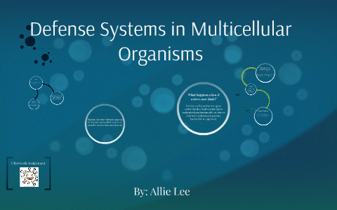 Defense Systems in Multicellular Organisms by Alexandria Lee on Prezi