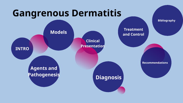 Gangrenous Dermatitis by Valeria Criollo Vinueza on Prezi