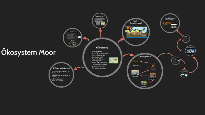 Ökosystem Moor by David Benci on Prezi