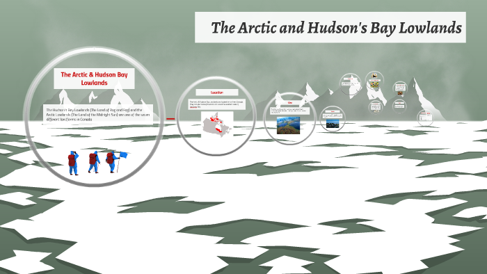 The Arctic and Hudson Bay Lowlands by sabrinbrin 29 on Prezi