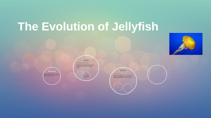 The Evolution of Jellyfish by on Prezi