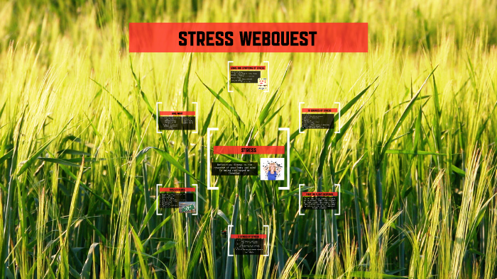 Stress Webquest by michaela gheorghiu