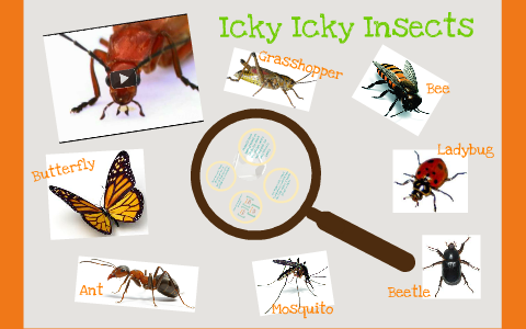 Icky Icky Insects by Bailey Fischer on Prezi