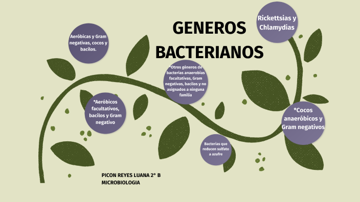 GENEROS BACTERIANOS by Luana Picón Reyes on Prezi