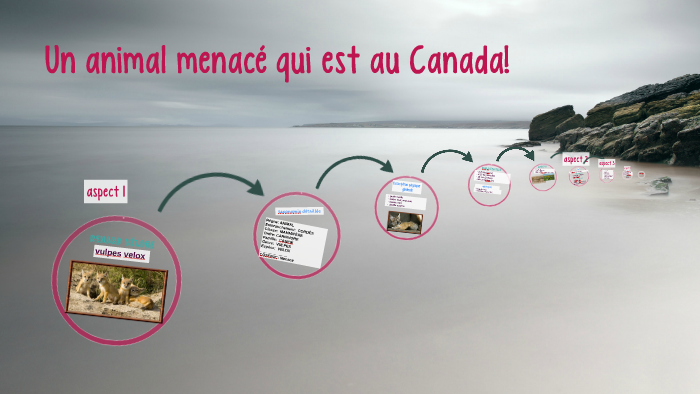 un animal menacé qui est au Canada! by mégane charette on Prezi