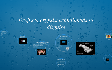 Deep sea crypsis: cephalopods in disguise by Megan Clay on Prezi