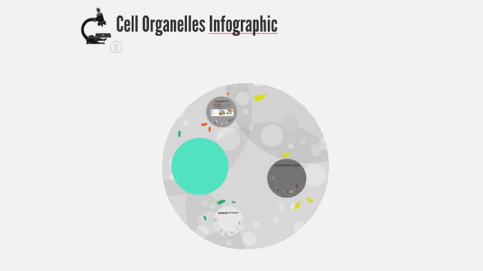 Cell Organelle Infographics by on Prezi