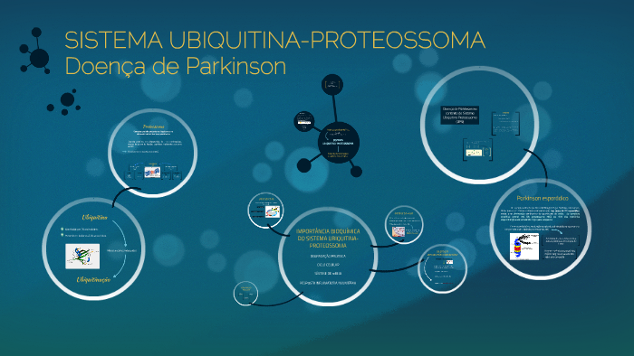 SISTEMA UBIQUITINA-PROTEOSSOMA by Maria Santos on Prezi