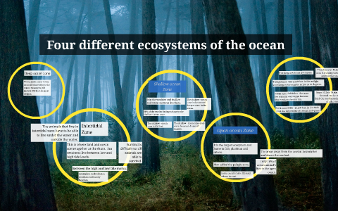 Four different ecosystems of the ocean by on Prezi