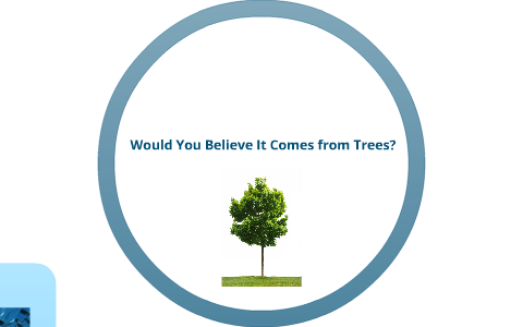 We All Need Trees by Heather Grabarski on Prezi