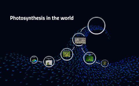 Photosynthesis in the world by Nick Hyett on Prezi