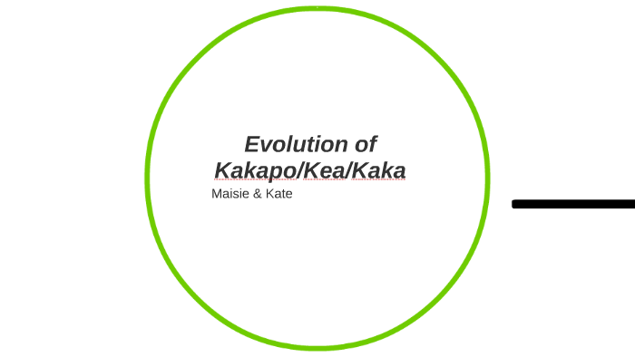 Evolution of Kakapo/Kea/Kaka by maisie blakeborough on Prezi