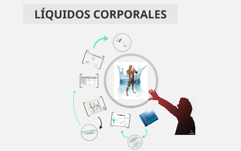 LIQUIDOS CORPORALES-FISIOLOGIA by Monica George on Prezi