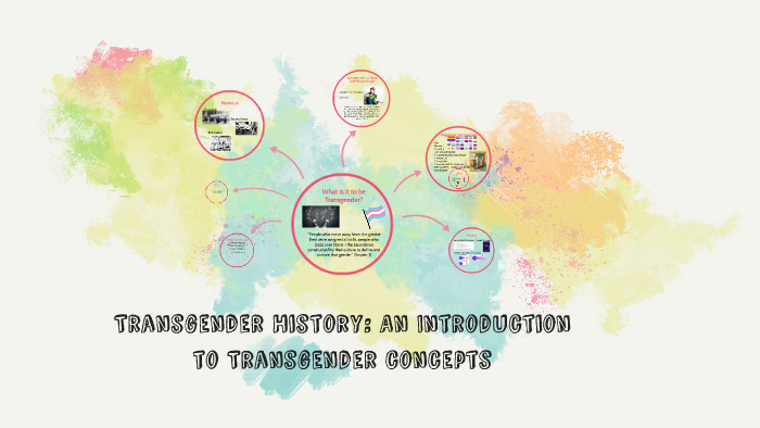 Transgender History: An Introduction to Transgender concepts by Cynthia ...