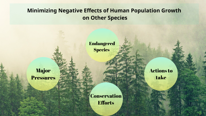 Minimizing Negative Effects by Mariam Mohamed on Prezi