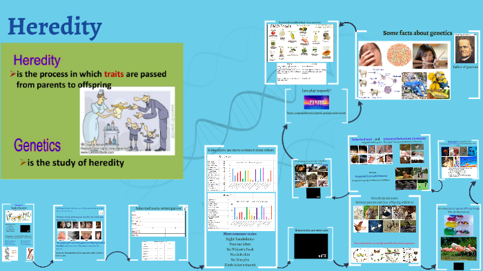 Heredity-5th grade by Laleh Ghotbi on Prezi