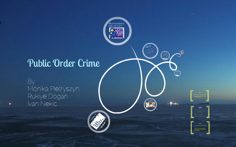 Public Order Crime Presentation by Ivan Nekic