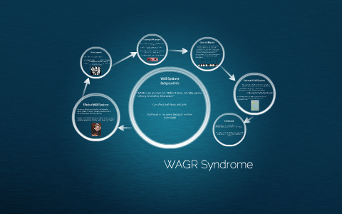 WAGR Syndrome by Derek Oaster on Prezi