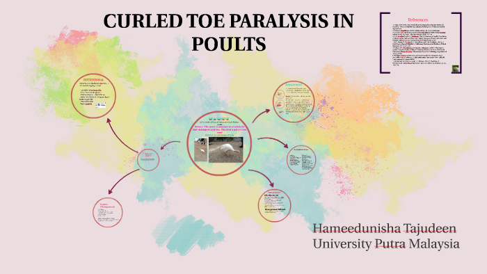 Curled Toe Paralysis by hameedunisha a on Prezi