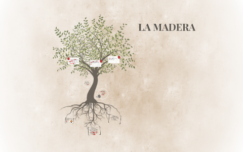 LA MADERA by maria crego martinez on Prezi