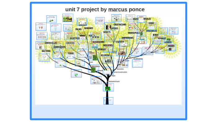 Unit 7 Biology: Evolution by Marcus Ponce on Prezi