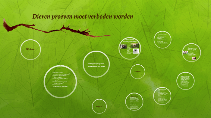 Dierenproeven moet verboden worden by divorah johannes on Prezi